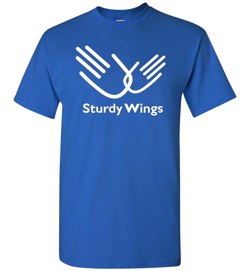 Sturdy Wings T-Shirt - Role Models Tee – Absurd Ink